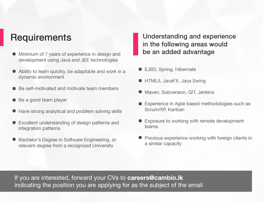 Our Vacancies - Cambio Software Engineering